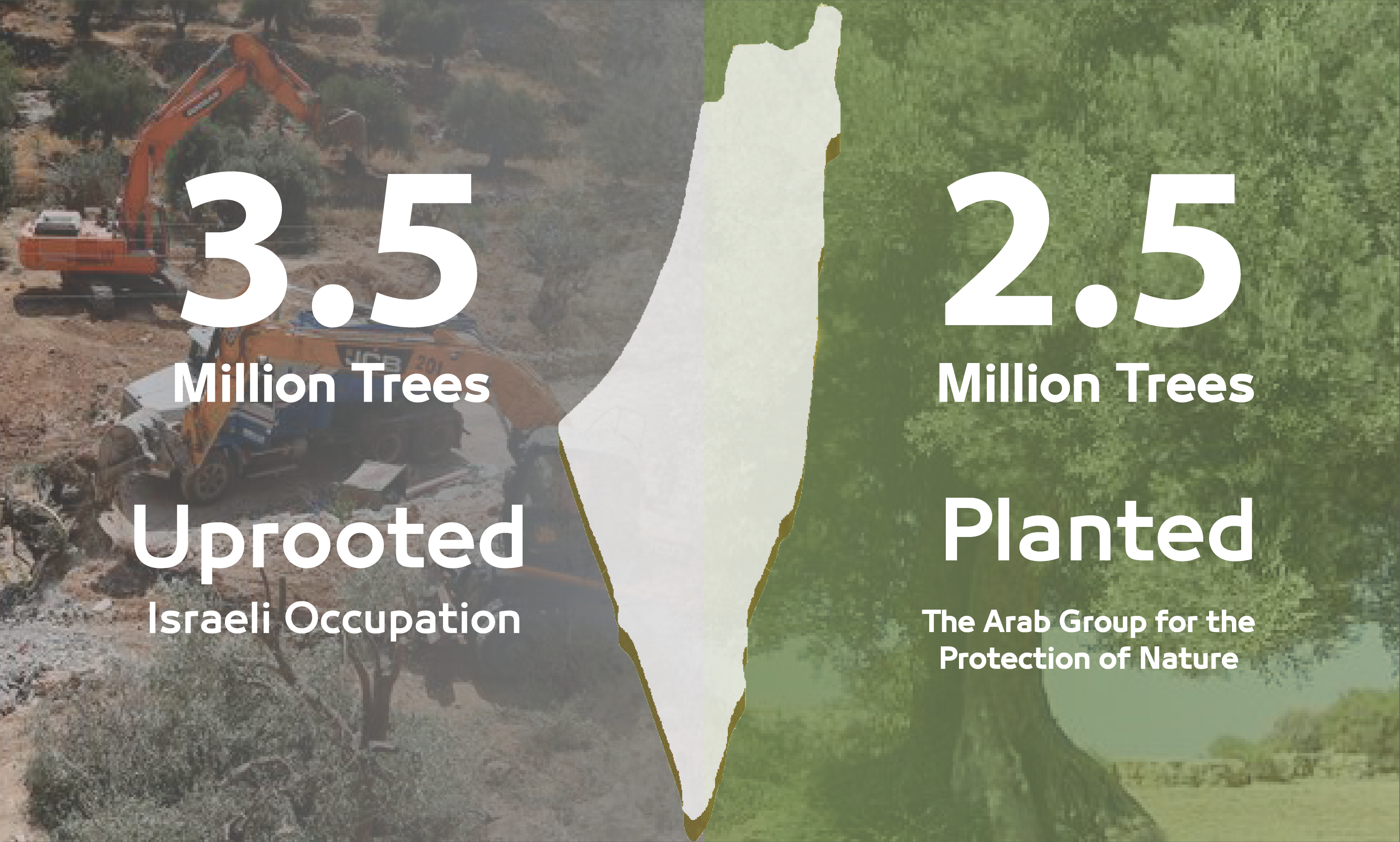 The Million Tree Campaign (MTC) | The Arab Group for the Protection of ...