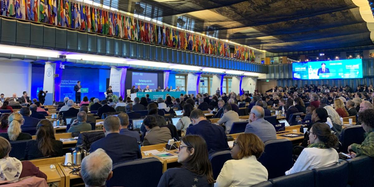 Food and Agricultural Organization of the United Nations (FAO) | The ...