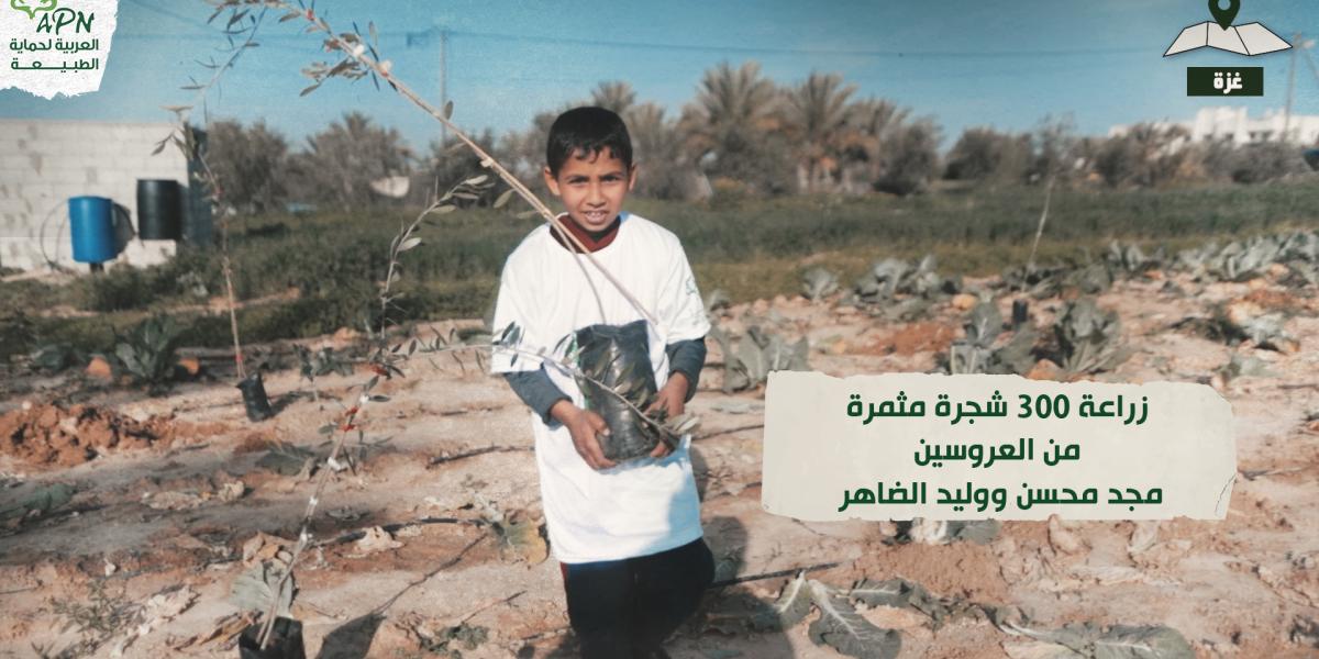 With the expenses of the wedding of Majd and Walid, APN plants 300 Trees