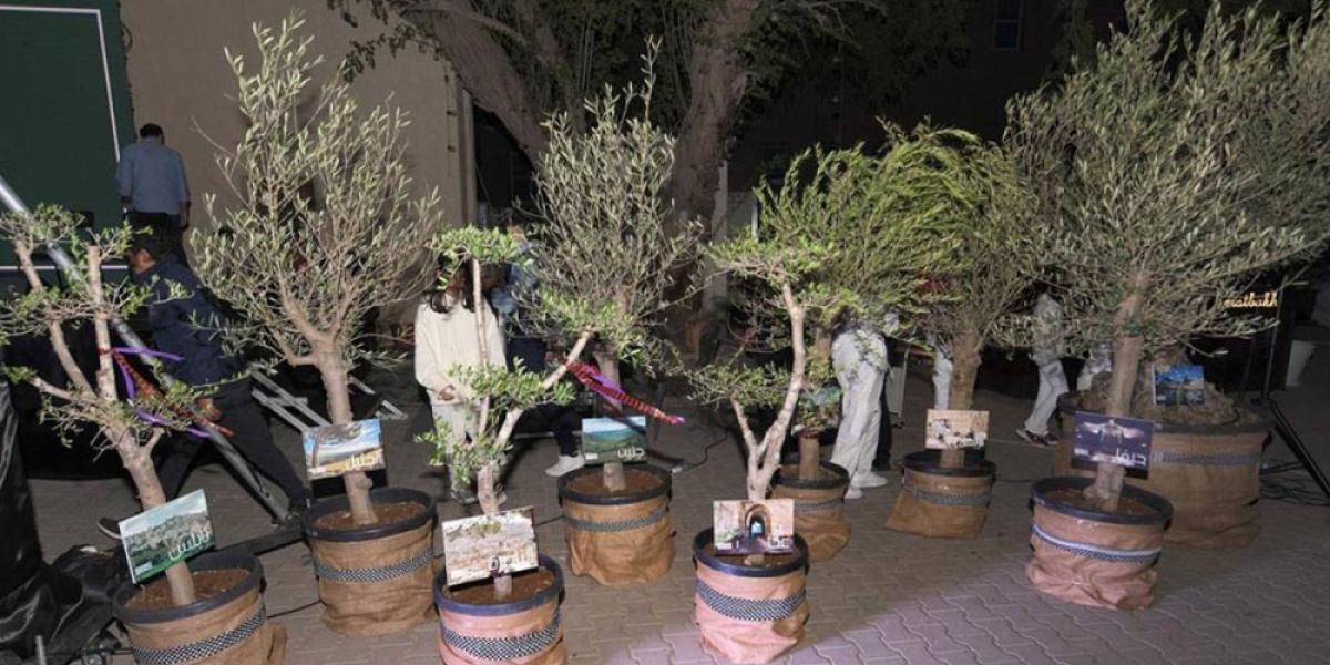 Kuwait's “Long Live the Olive Tree” Solidarity Evening Supports Olive ...