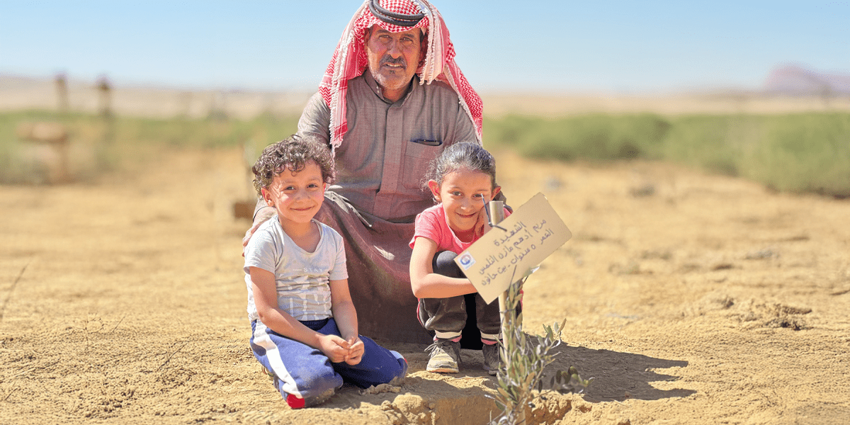 355 Olive Trees for Gaza’s Martyrs Garden