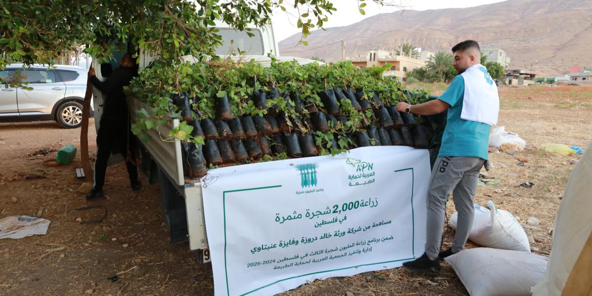 We Planted Life with 2000 Trees in Al Nassariya