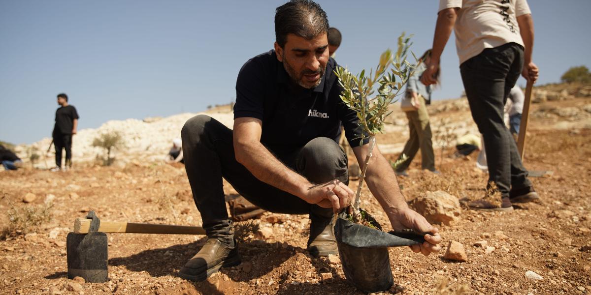 100 Fruit Trees Adorn the Lands of Badr with Support from Hikma Pharmaceuticals