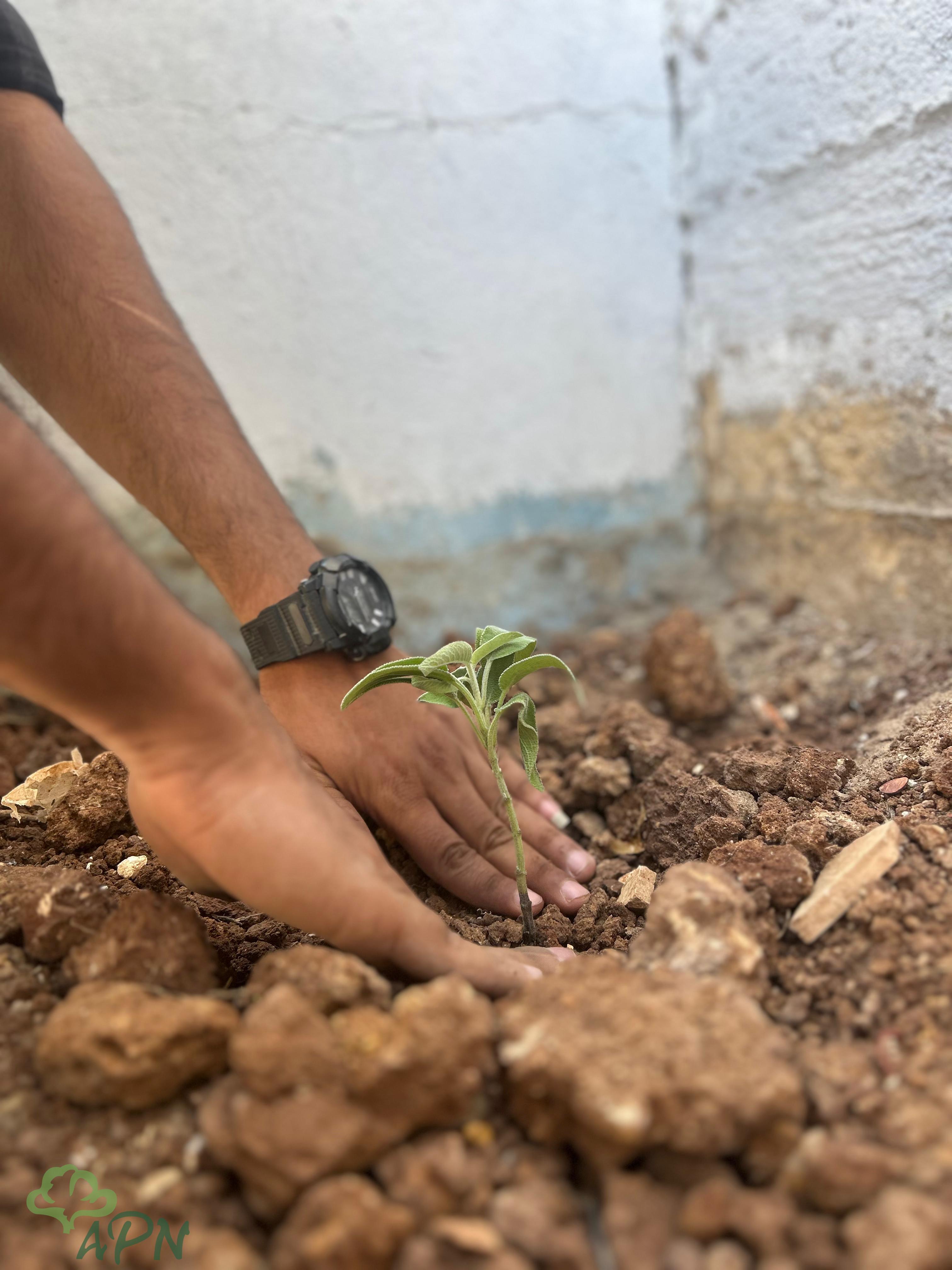 Agriculture Is Our Path to Food Sovereignty: Students from Gaza Camp in ...