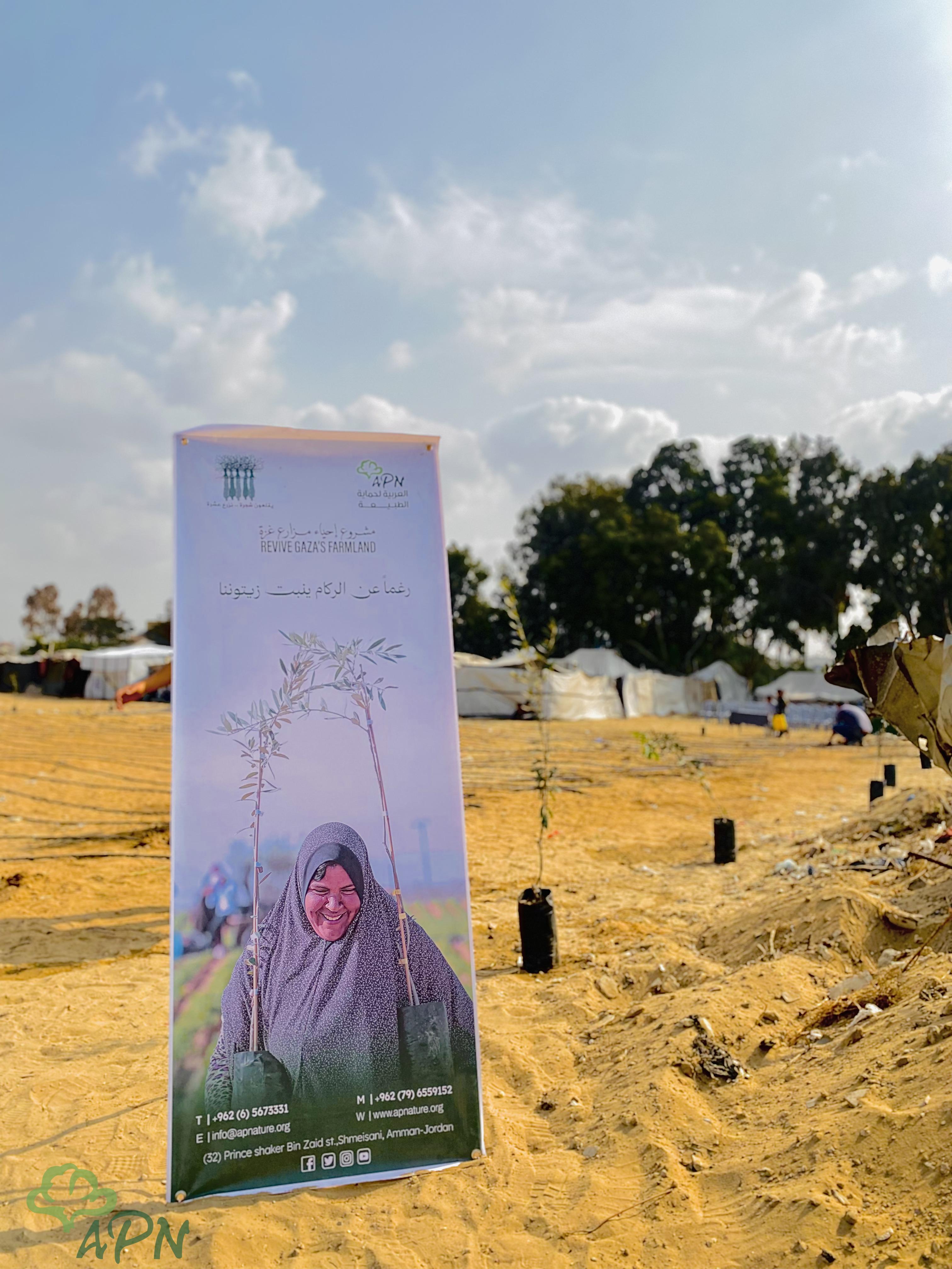 Reviving Life in Gaza: Al Wafa Well Brings Water and Hope to Thousands