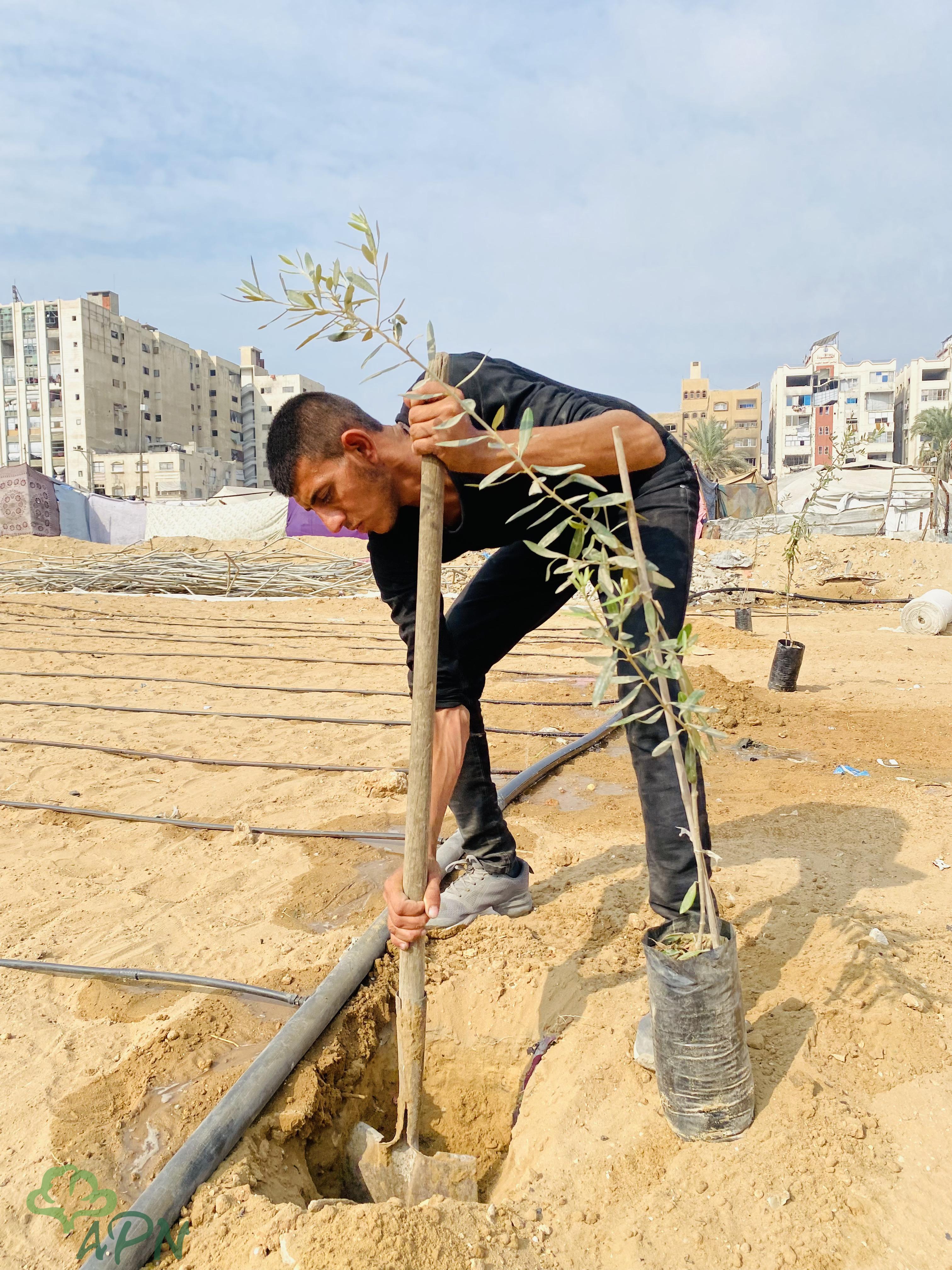 Reviving Life in Gaza: Al Wafa Well Brings Water and Hope to Thousands