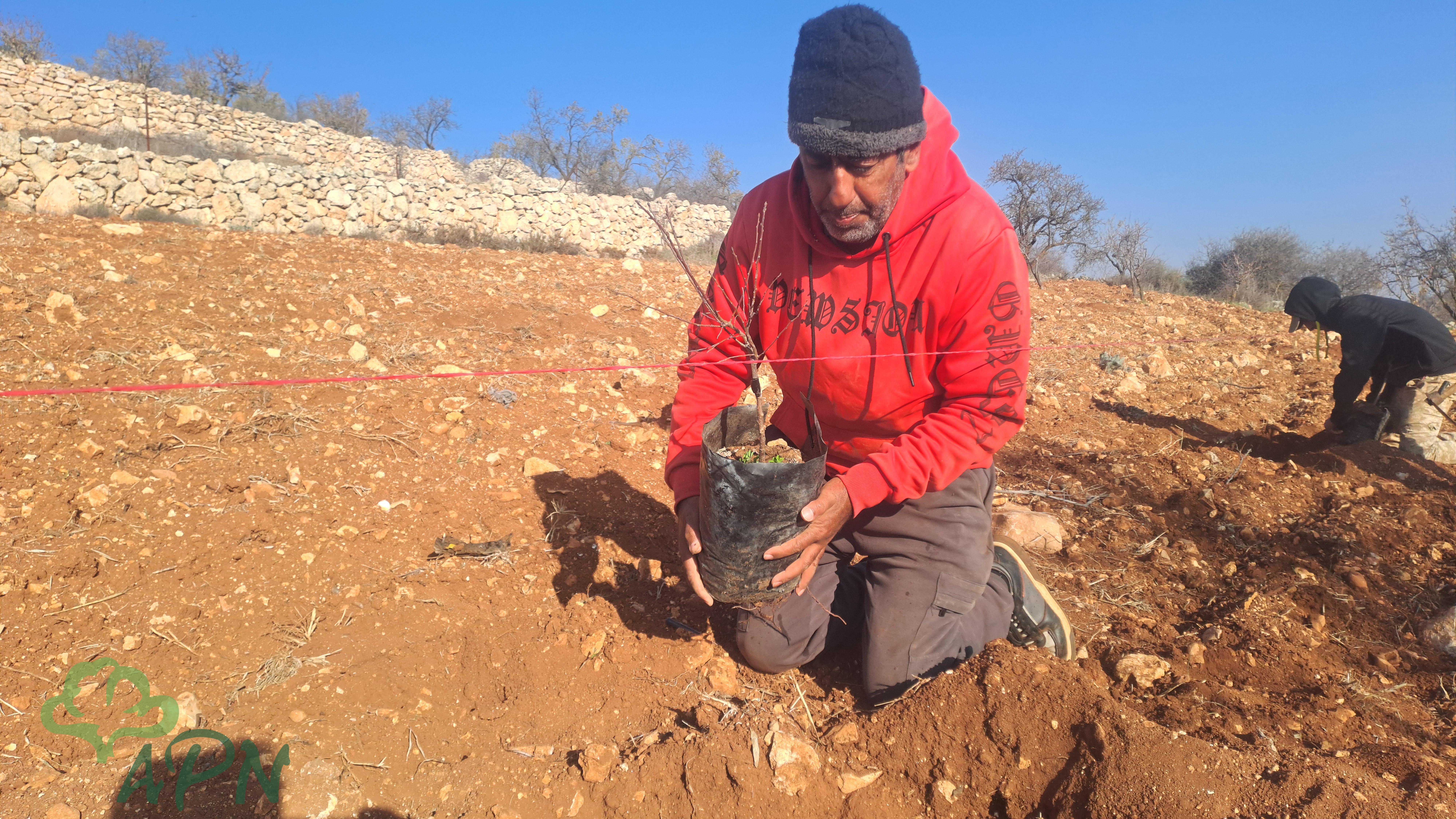 Tamam Foods Company Supports Two Farming Families with 500 Fruit Trees ...